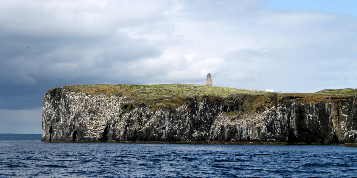 Forth Sea Safaris | Home