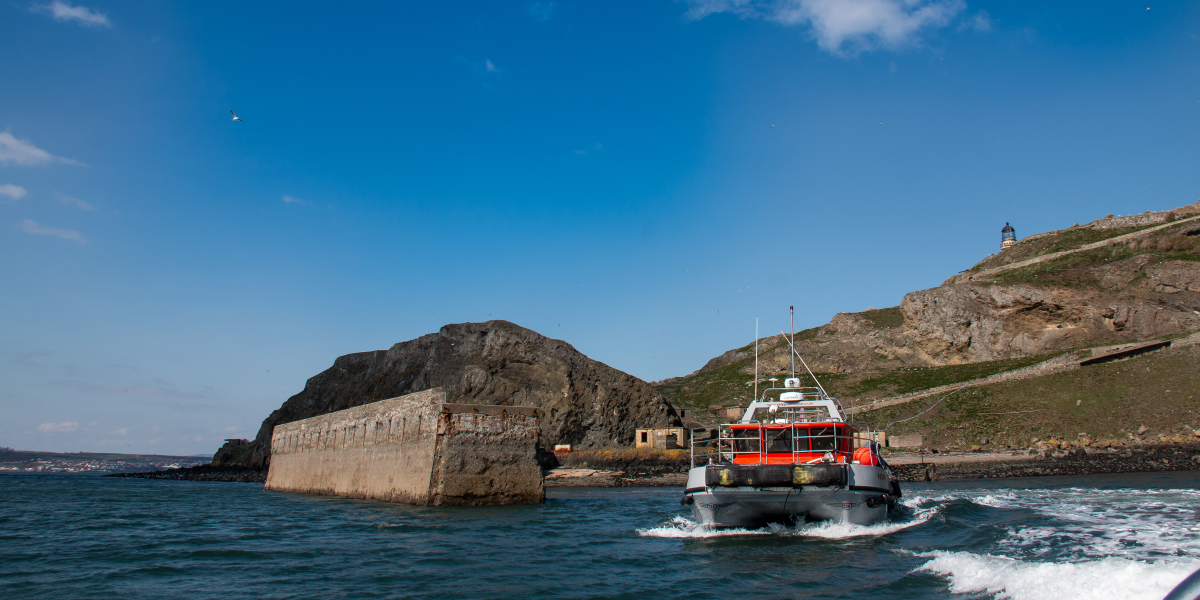 Forth Sea Safaris | Home